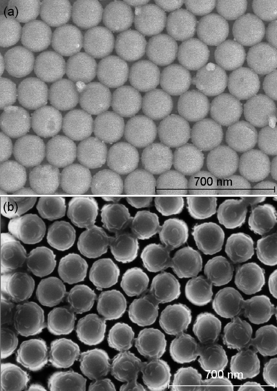 Air-spaced GaN nanopillar photonic band gap structures patterned by ...