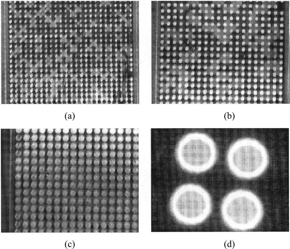 Fabrication And Performance Of Parallel Addressed Ingan Micro Led Arrays Microled Hku